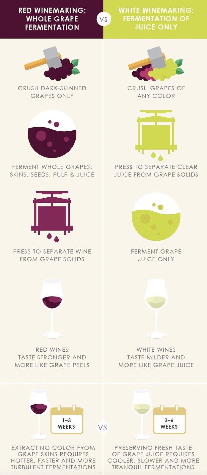 Infographic: The Real Difference Between Red and White Wine | Beverage ...